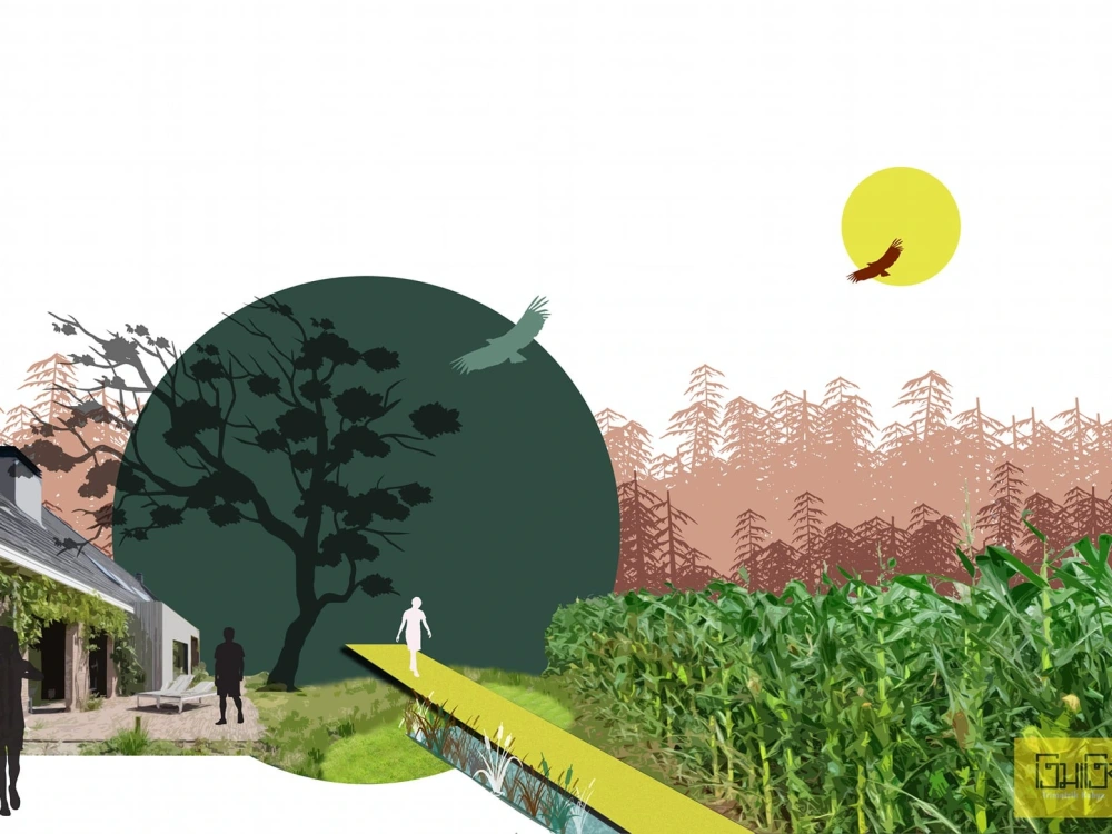 Amazing conceptual planning, design and diagram of your project. | Upwork