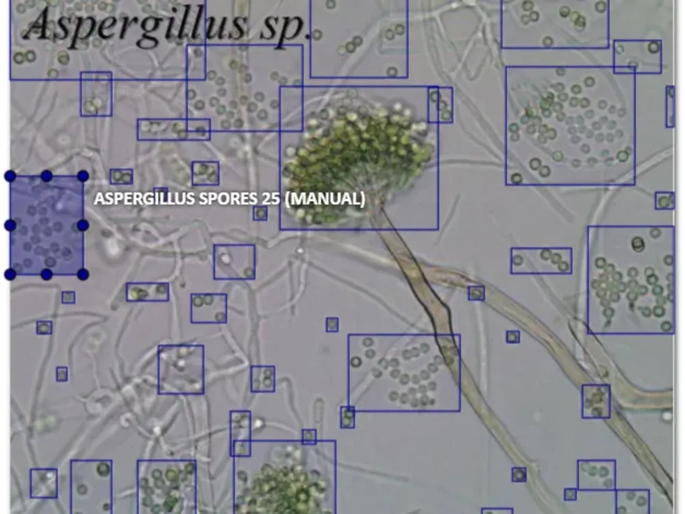 Neatly drawn 2D and 3D bounding boxes and polygon tags for your project ...