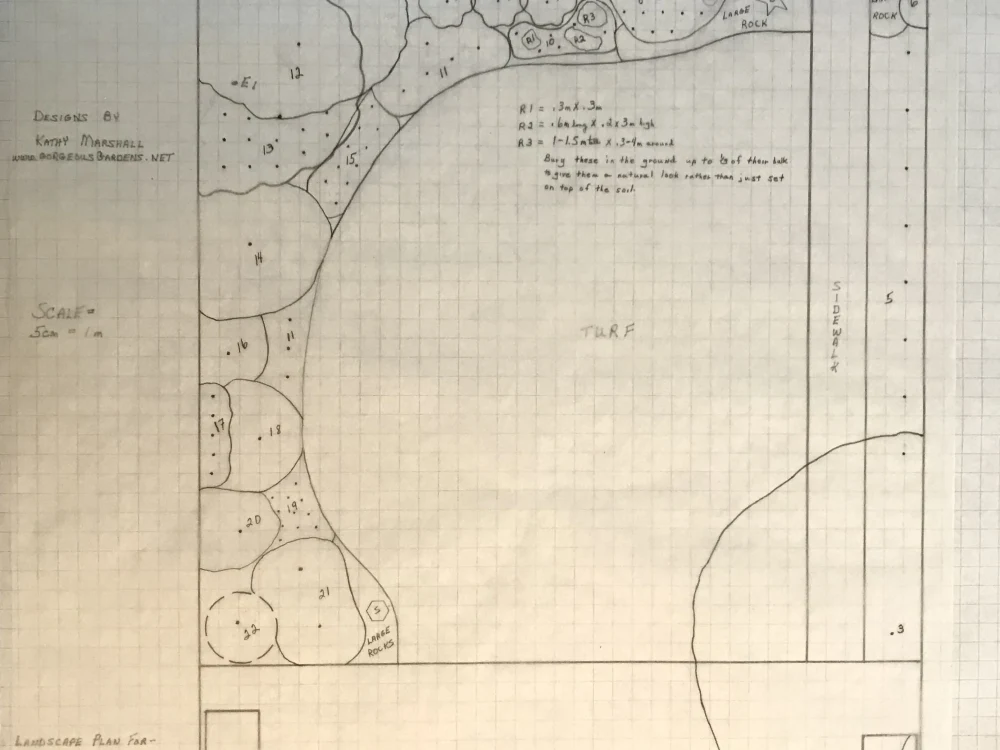 A custom hand-drawn 2D scale landscape design and plant list with ...
