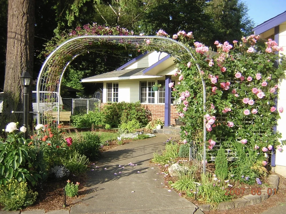 A custom hand-drawn 2D scale landscape design and plant list with ...