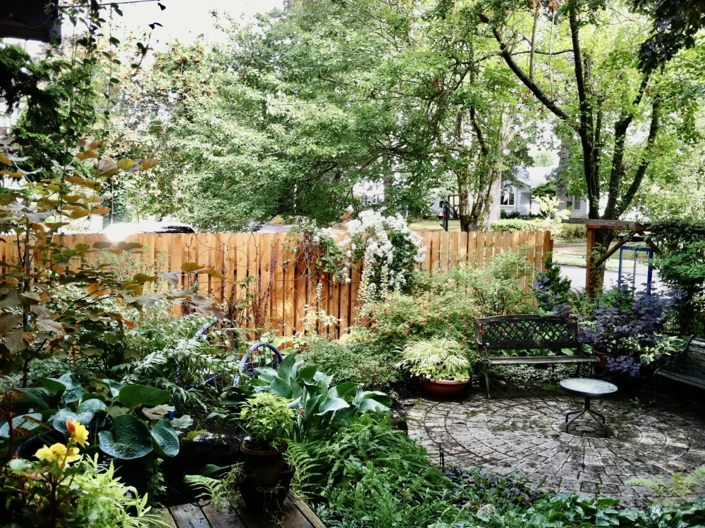 A custom hand-drawn 2D scale landscape design and plant list with ...