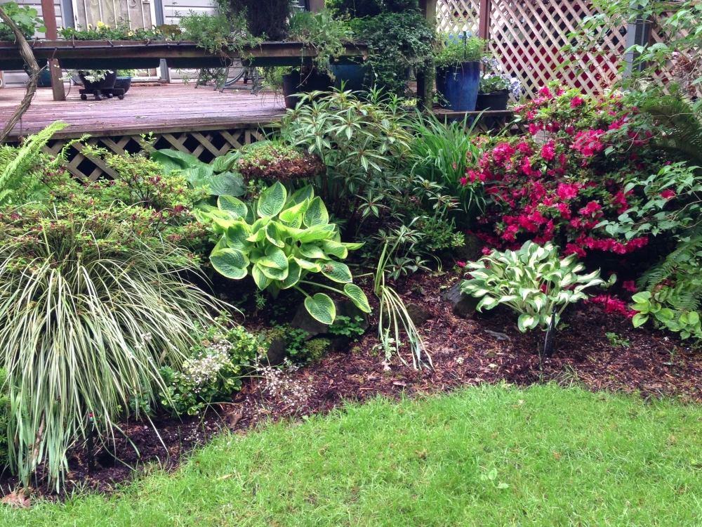 A custom hand-drawn 2D scale landscape design and plant list with ...