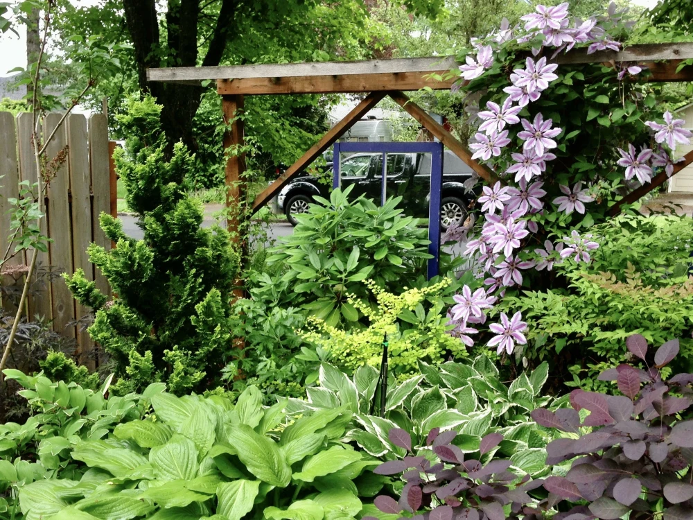 A custom hand-drawn 2D scale landscape design and plant list with ...