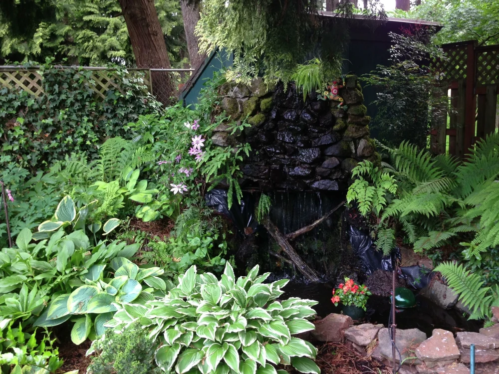 A custom hand-drawn 2D scale landscape design and plant list with ...