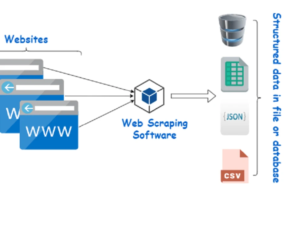 An efficient web scraper/output files for exact results in required format | Upwork