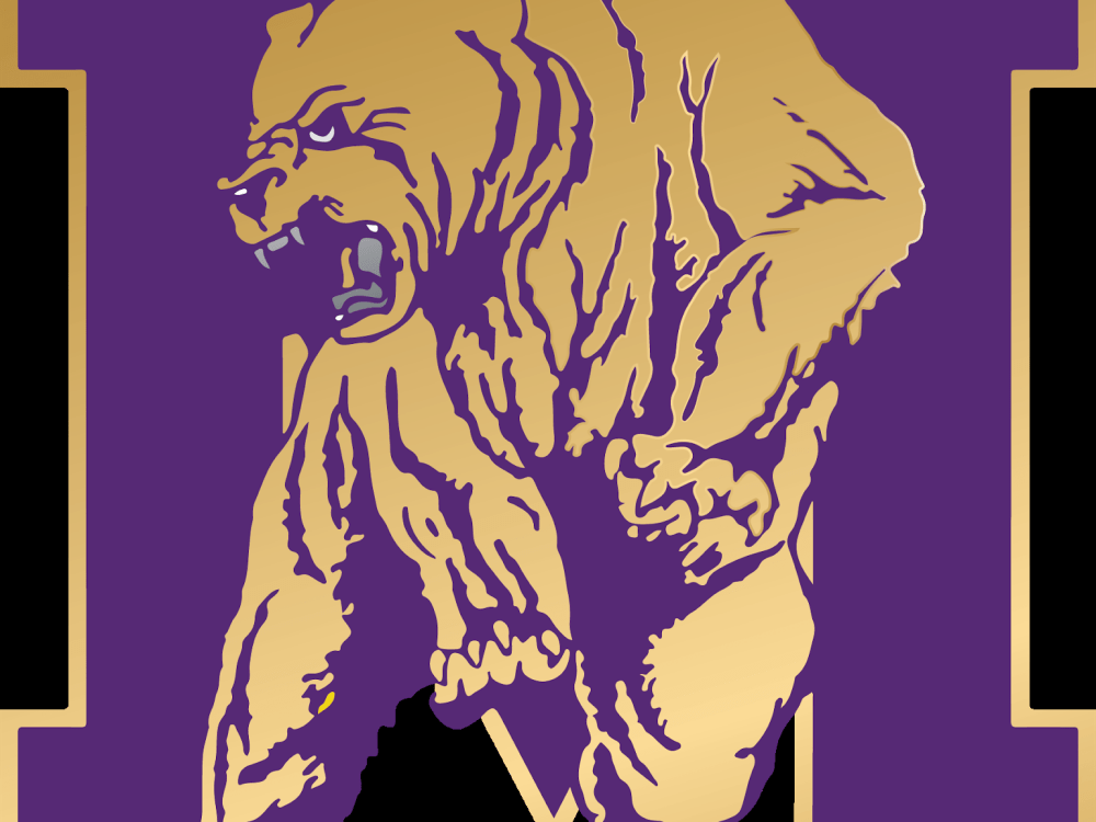 Convert your image to vector and color separation | Upwork