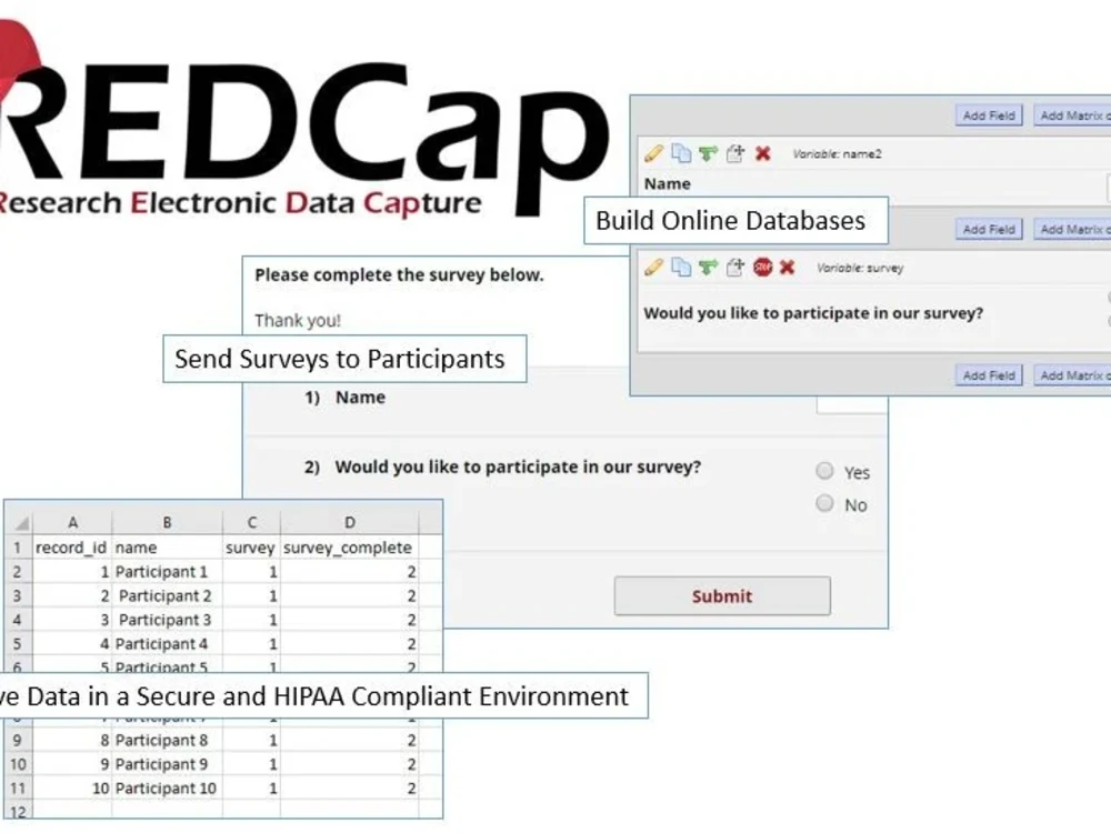 Redcap Installation and complete development | Upwork