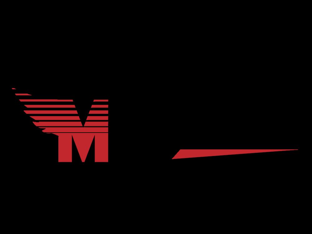 An amazing Logo designed for your business | Upwork