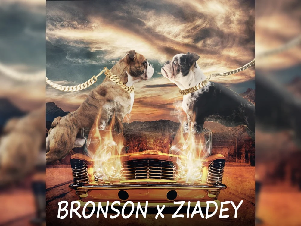 An amazing dog breeding poster- litter announcement poster | Upwork