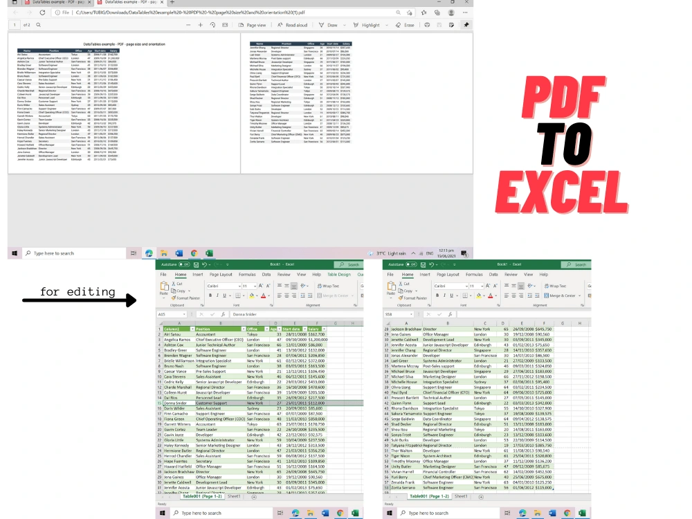Data Entry PDF conversions, Word, Excel | Upwork