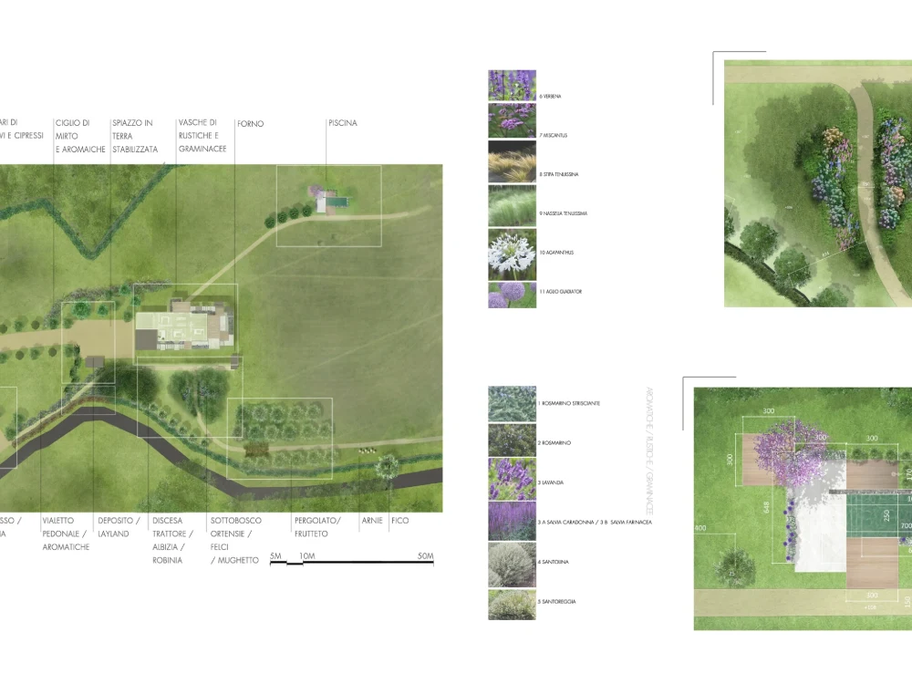 Fantastic Landscape 2D Plan | Upwork