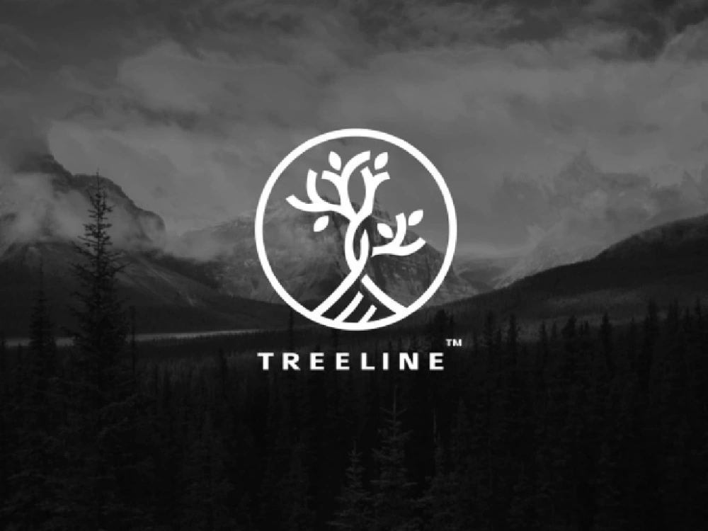 2 flat minimalist logo design | Upwork