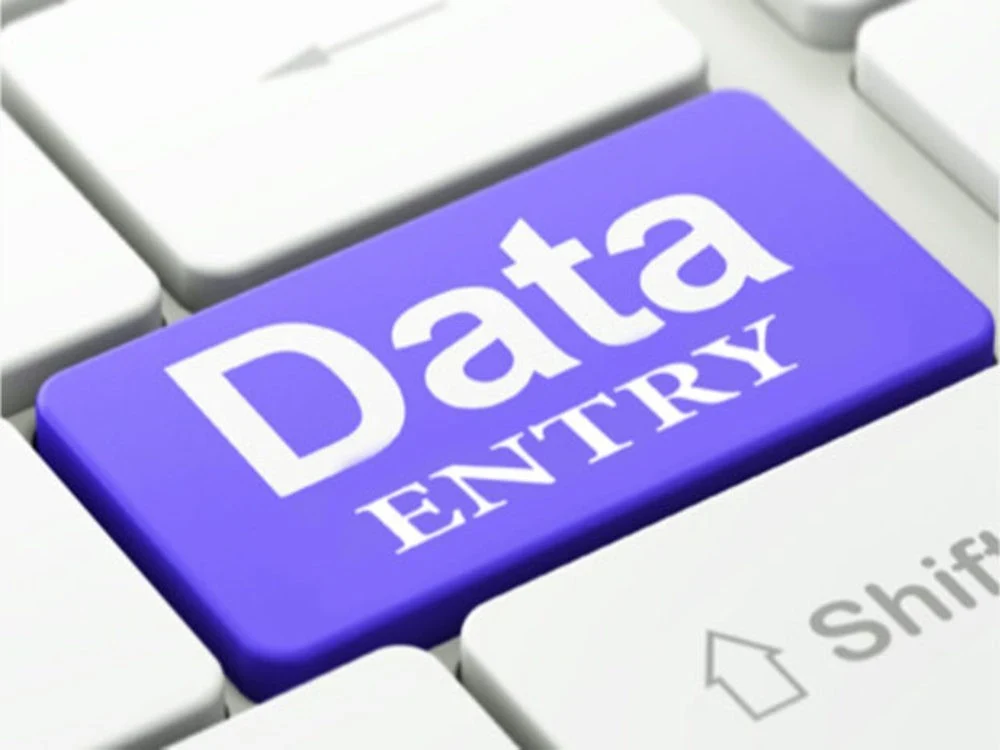 Data entry, microsoft excel data entry, data entry specialist, copy paste | Upwork