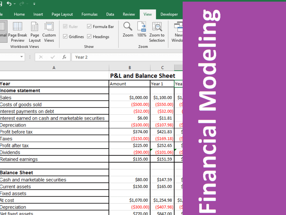 Pro-forma, Financial statements, Financial plan, business valuation ...