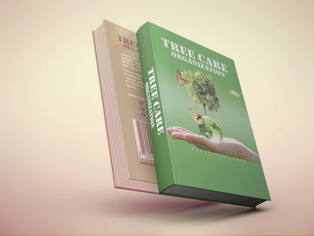 An amazing Book Cover Design For Amazon | Upwork