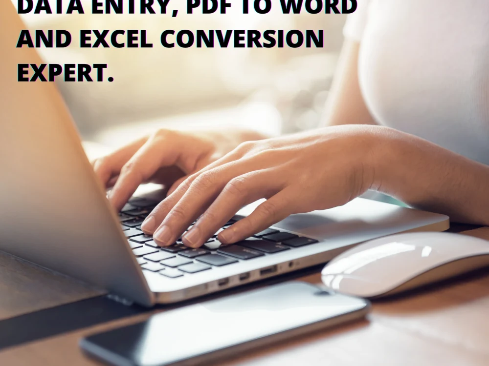 A timely, accurate and error free data entry and pdf conversion | Upwork