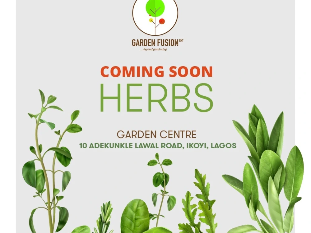 A fantastic animated flyer either in MP4 with sound and GIF without ...