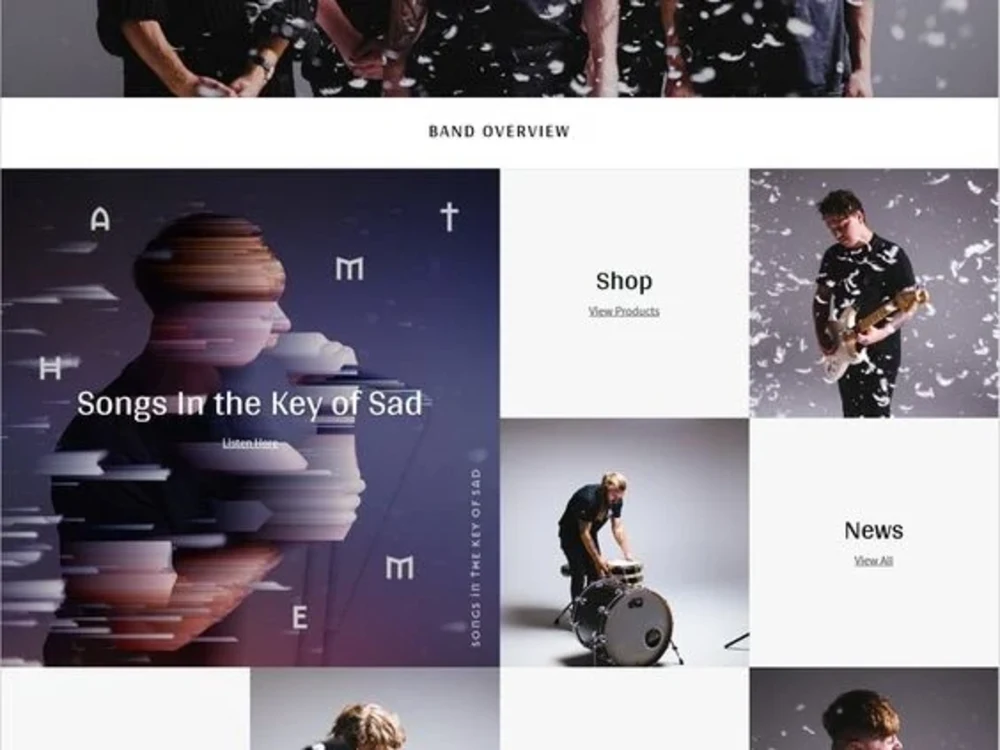 Your musician website for artist, dj, music producer | Upwork