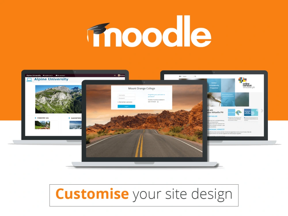 A fully functional Moodle LMS system branded with your visual identity ...