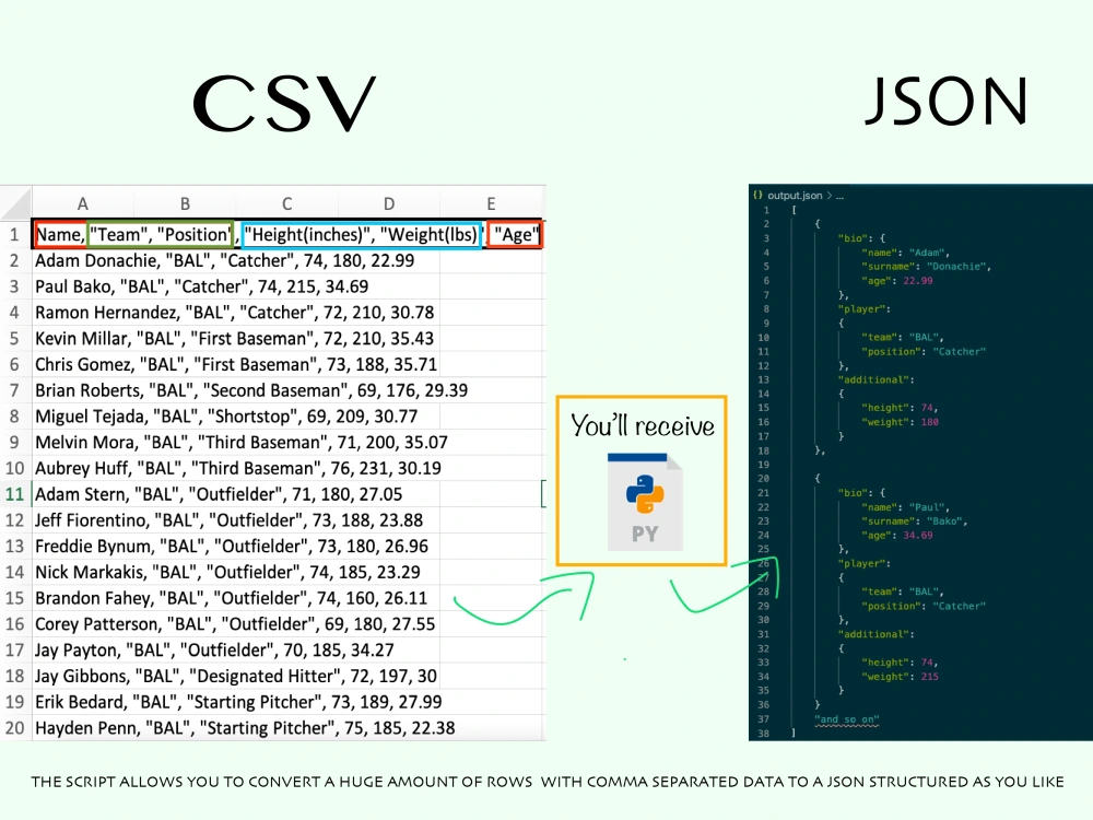 A script to convert CSV to custom JSON | Upwork
