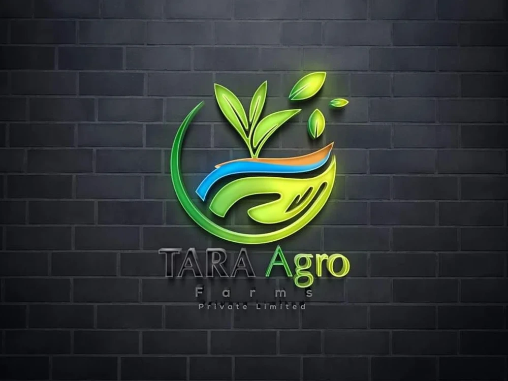 Modern minimalist custom Logo Design /Company Logo Design/Business card ...