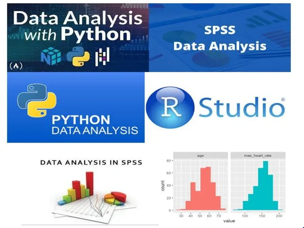 Statistical Analysis & Interpretation using SPSS, R, Excel, STATA & Eviews | Upwork