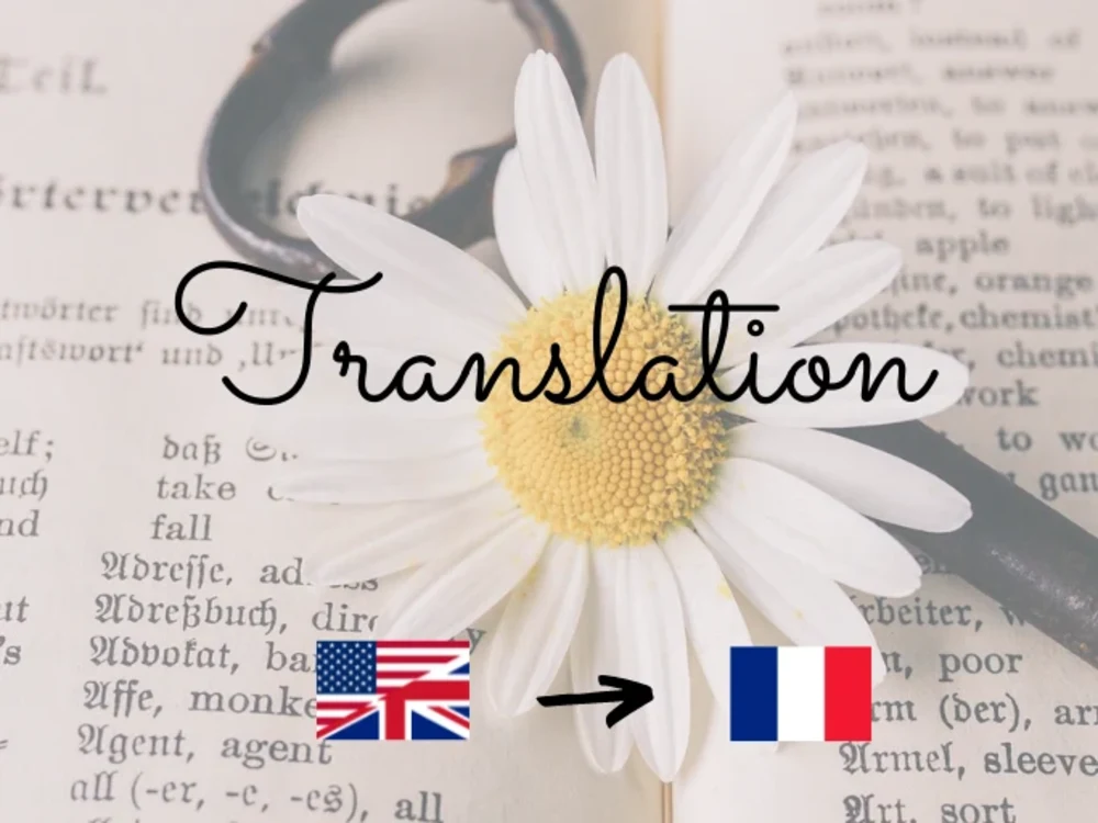 An accurate English to French translation and/or localization | Upwork