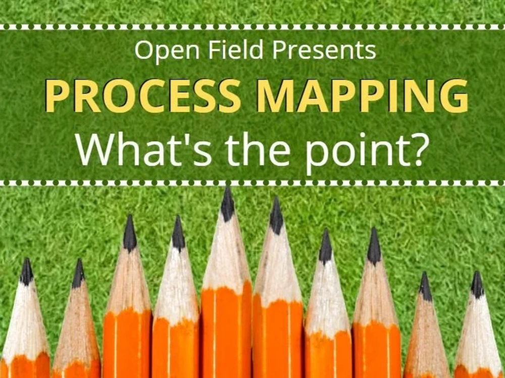 A detailed process map with Lean analysis to build growth capacity ...