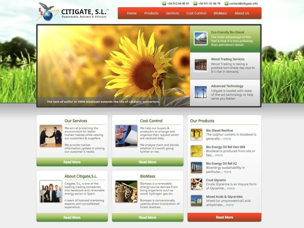 A professionally designed and developed website tailored to your needs ...