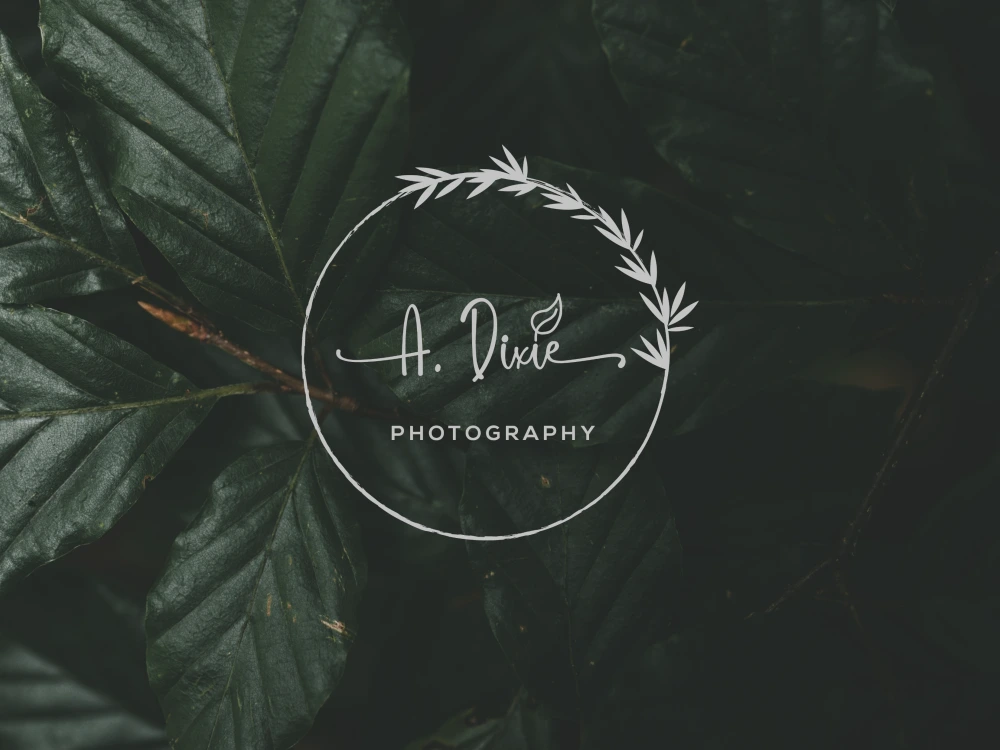 An amazing modern photography logo | Upwork