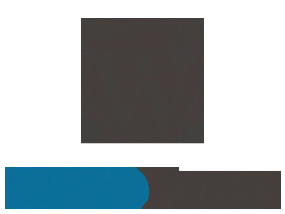 WordPress Installation & WordPress Theme Setup with Demo Data & Logo Setup | Upwork