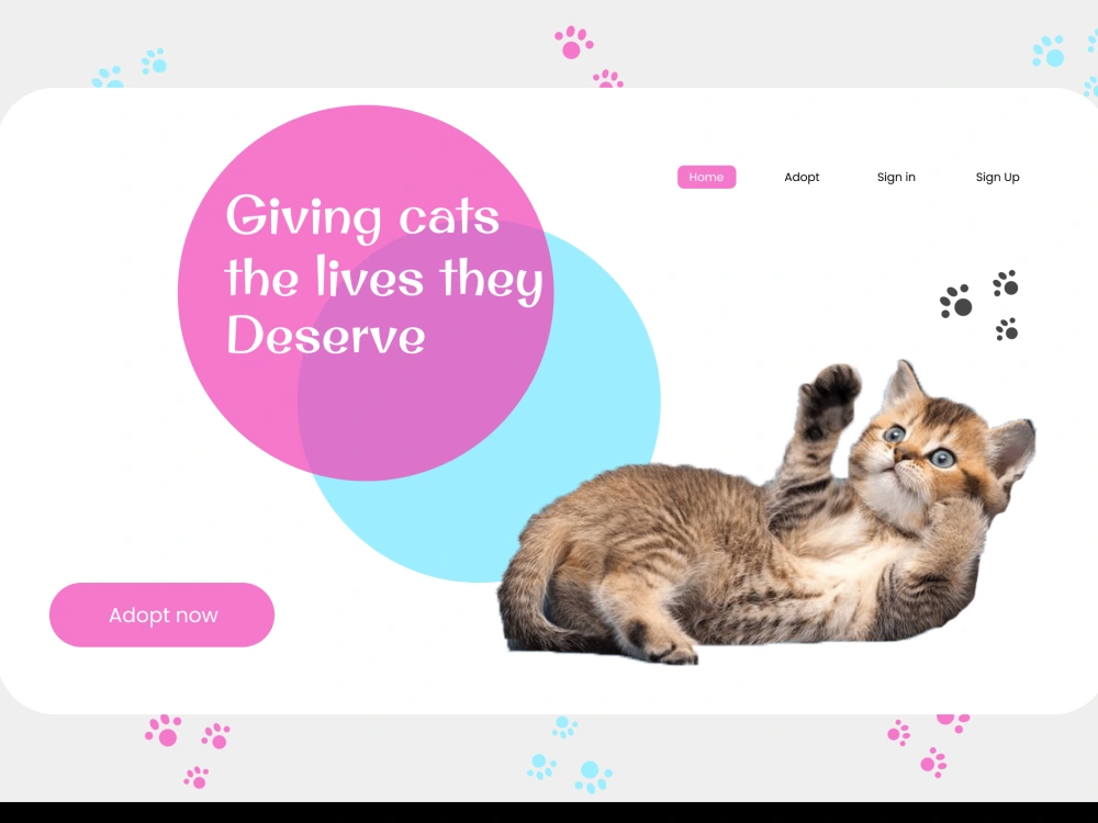 An amazing User interface designed for your business | Upwork