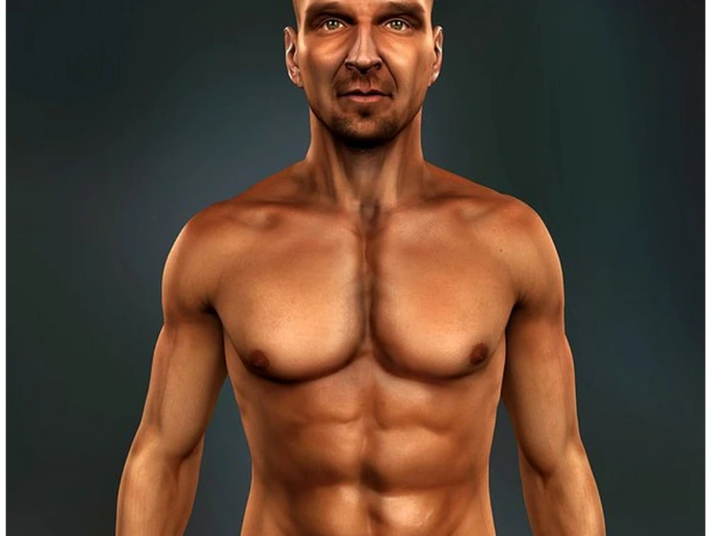 Realistic 3D Human character model with Rigging and 3d portrait | Upwork