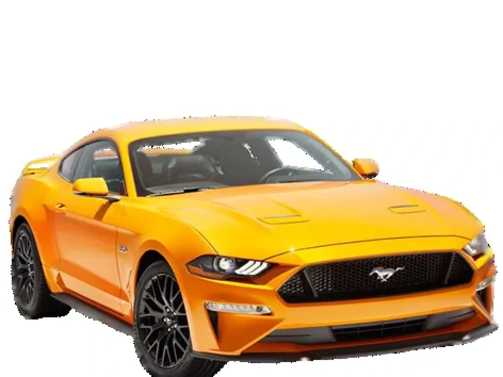 Transparent background photos quickly and professionally | Upwork