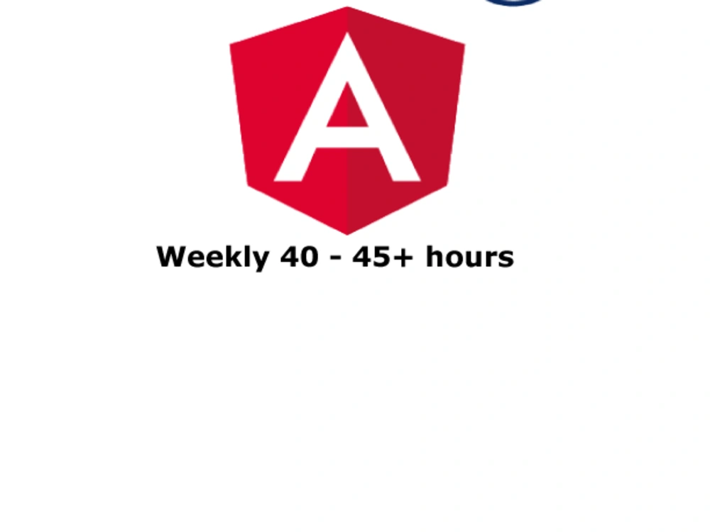 A full-stack developer for Dotnet and Angular | Upwork