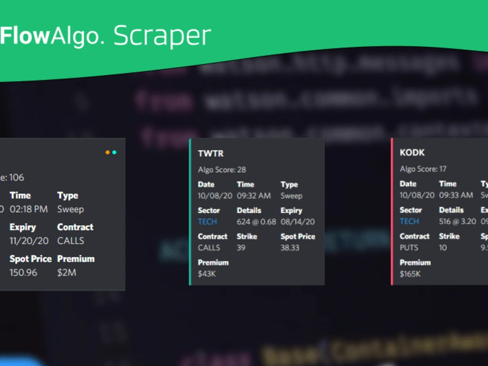 A professional Discord bot or self bot | Upwork