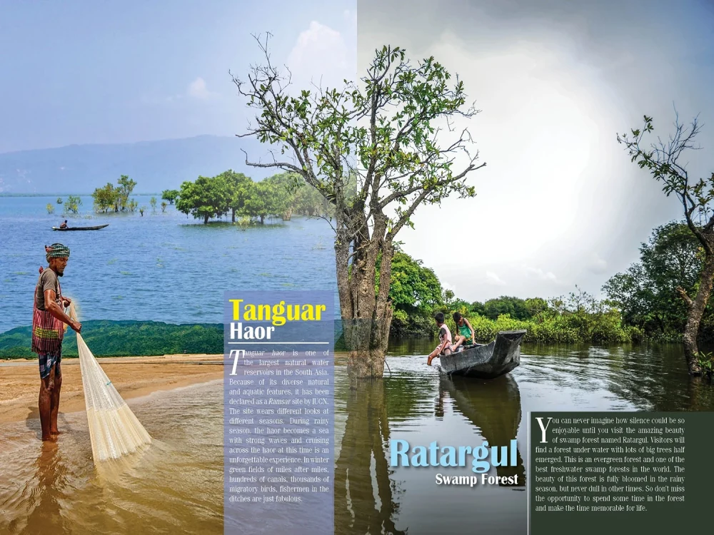 A magazine design, magazine layout, magazine cover using InDesign | Upwork