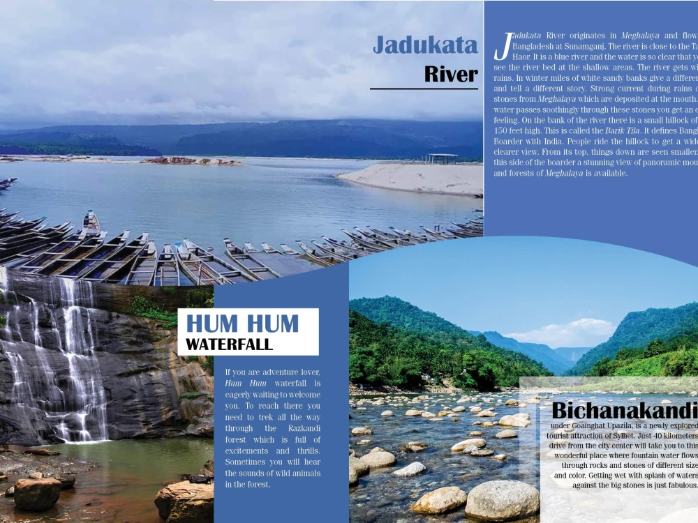 A magazine design, magazine layout, magazine cover using InDesign | Upwork