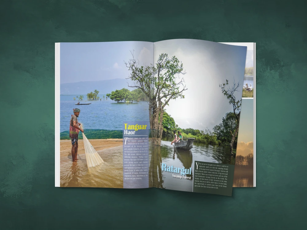 A magazine design, magazine layout, magazine cover using InDesign | Upwork