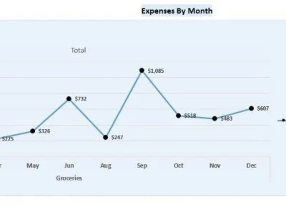An Excel workbook with your expenses interactively visualized. | Upwork