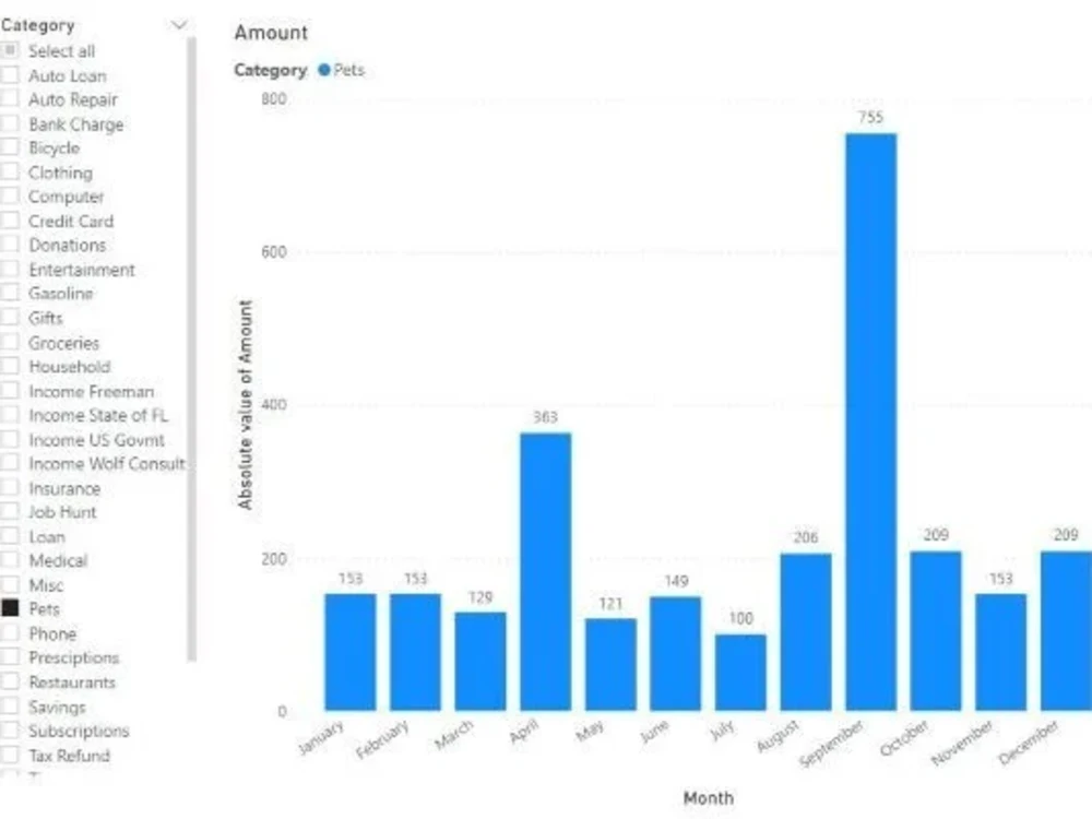An Excel workbook with your expenses interactively visualized. | Upwork