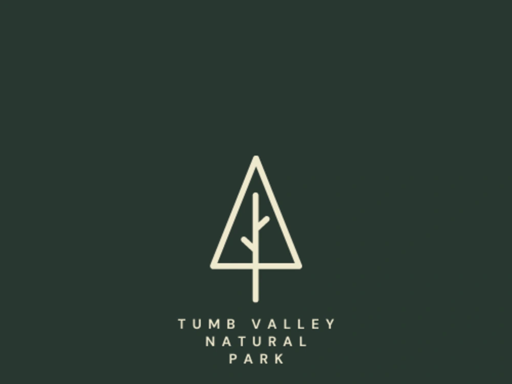 Three amazing modern minimalist logos | Upwork