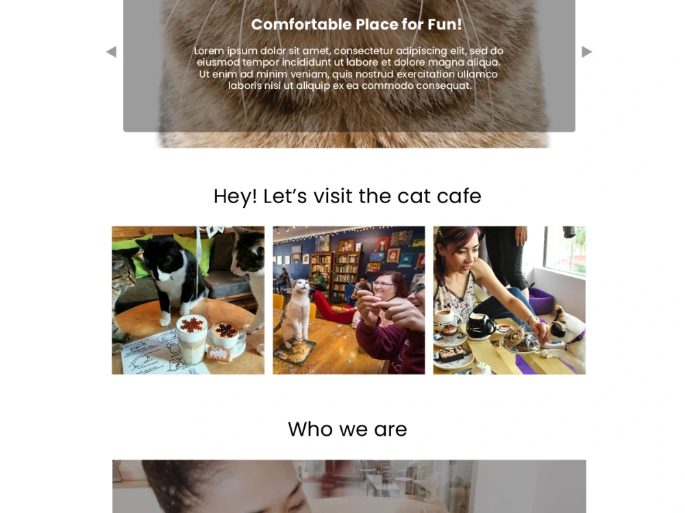 A fully designed web, landing page, and mobile design for just 1 day ...