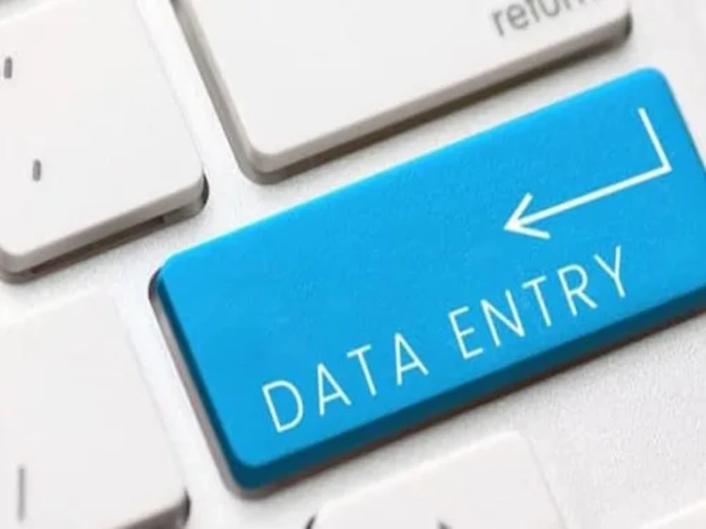 Your data professionally entered at maximum Accuracy | Upwork