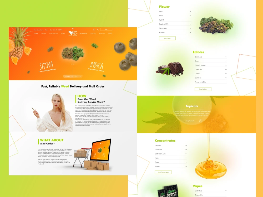 An amazing eye-catching UI UX design | Upwork