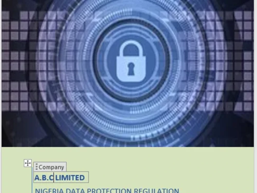 A filed report of NDPR audit and GAP identified will be remediated | Upwork