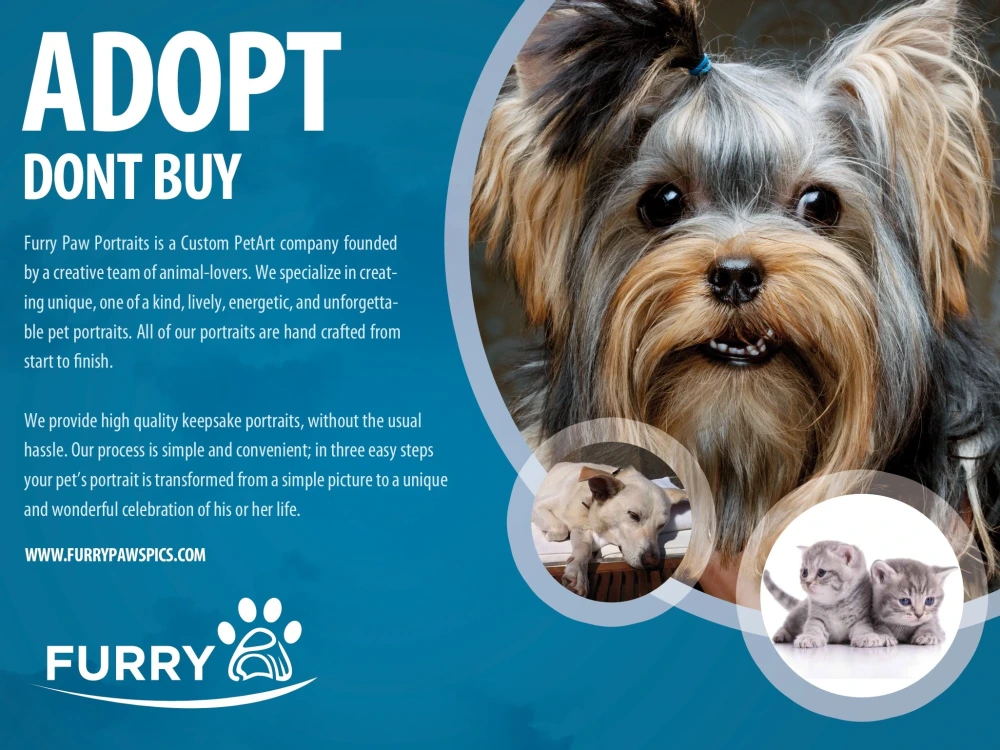 5 Amazing Facebook Post Design and Cover Design | Upwork