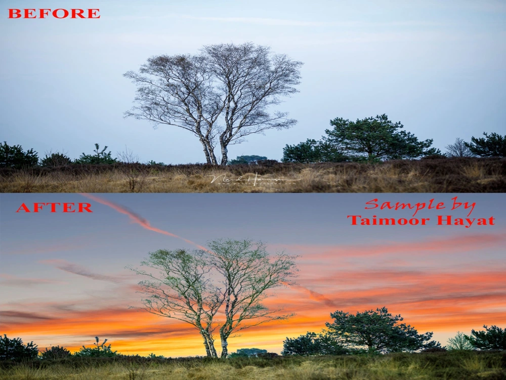 Adobe Photoshop / Image Editing Services | Upwork