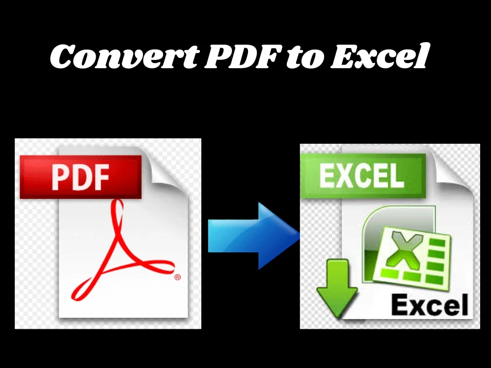 Convert PDF to Excel Convert Text to Columns Microsoft Excel data entry ...
