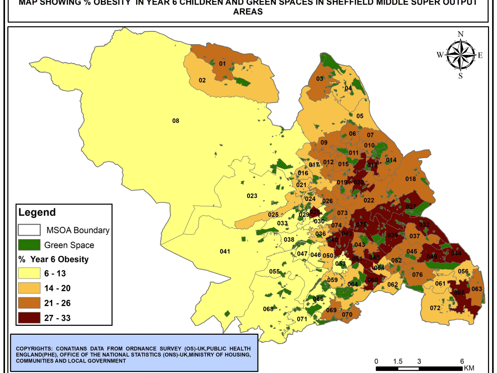 Spatial Analysis, Geo-databasedesign,maps with Arc GIS, ENVI,ERDAS,QGIS ...